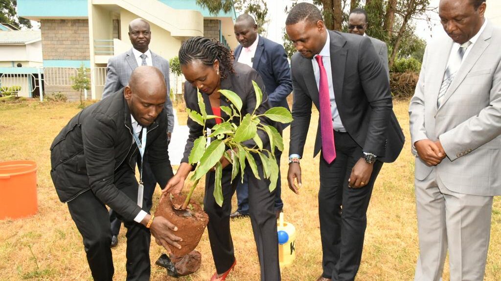 Govt to streamline charcoal trade, Environment CS Tuya says - Capital ...