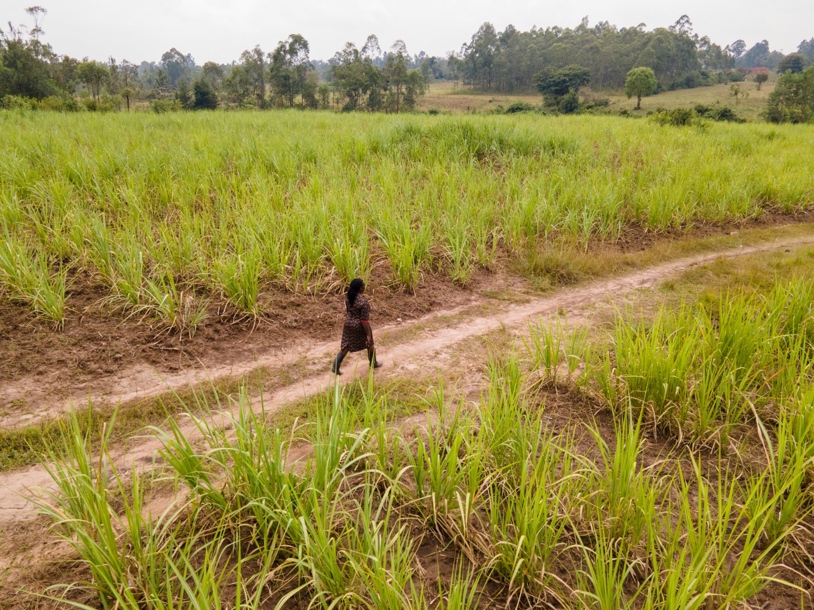 IMG-20260122-WA0053 - Capital Business