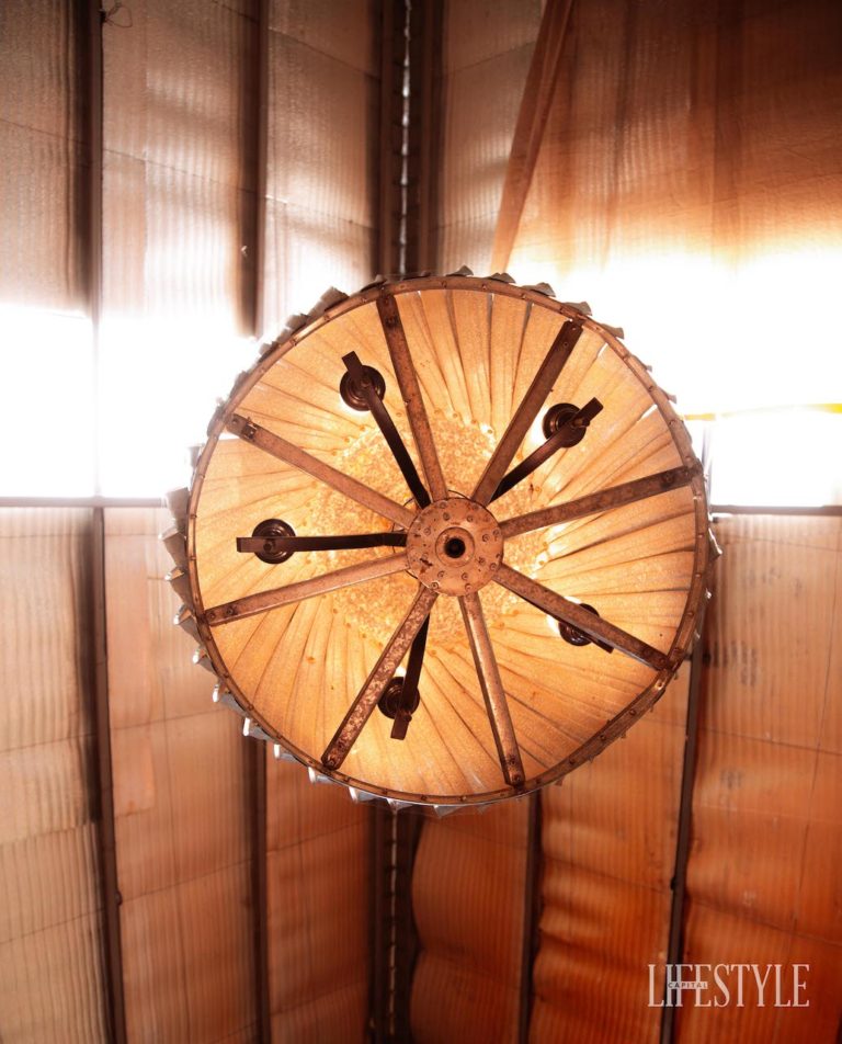 Shamba Cafe: It's Safe to Dine Here with Kids - Capital Lifestyle