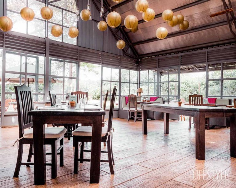 Shamba Cafe: It's Safe to Dine Here with Kids - Capital Lifestyle
