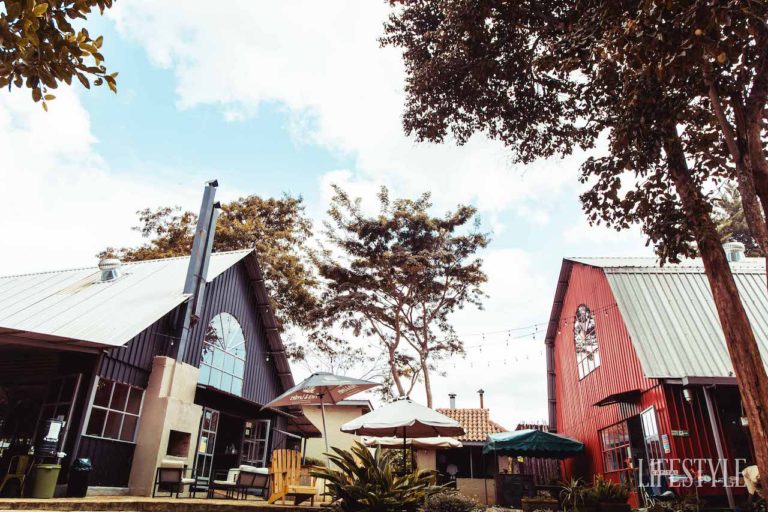 Shamba Cafe: It's Safe to Dine Here with Kids - Capital Lifestyle