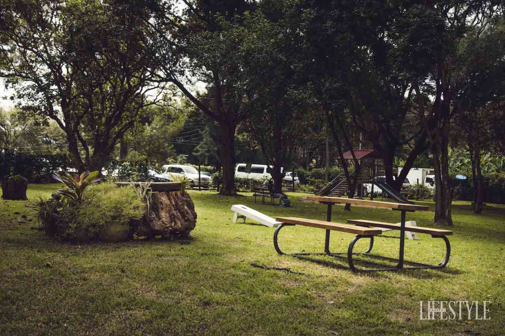 Shamba Cafe: It's Safe to Dine Here with Kids - Capital Lifestyle