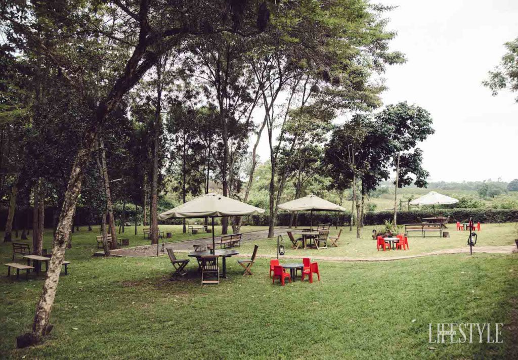 Shamba Cafe: It's Safe to Dine Here with Kids - Capital Lifestyle