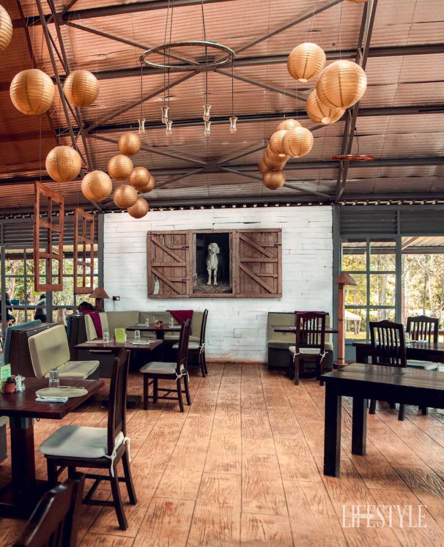 Shamba Cafe: It's Safe to Dine Here with Kids - Capital Lifestyle