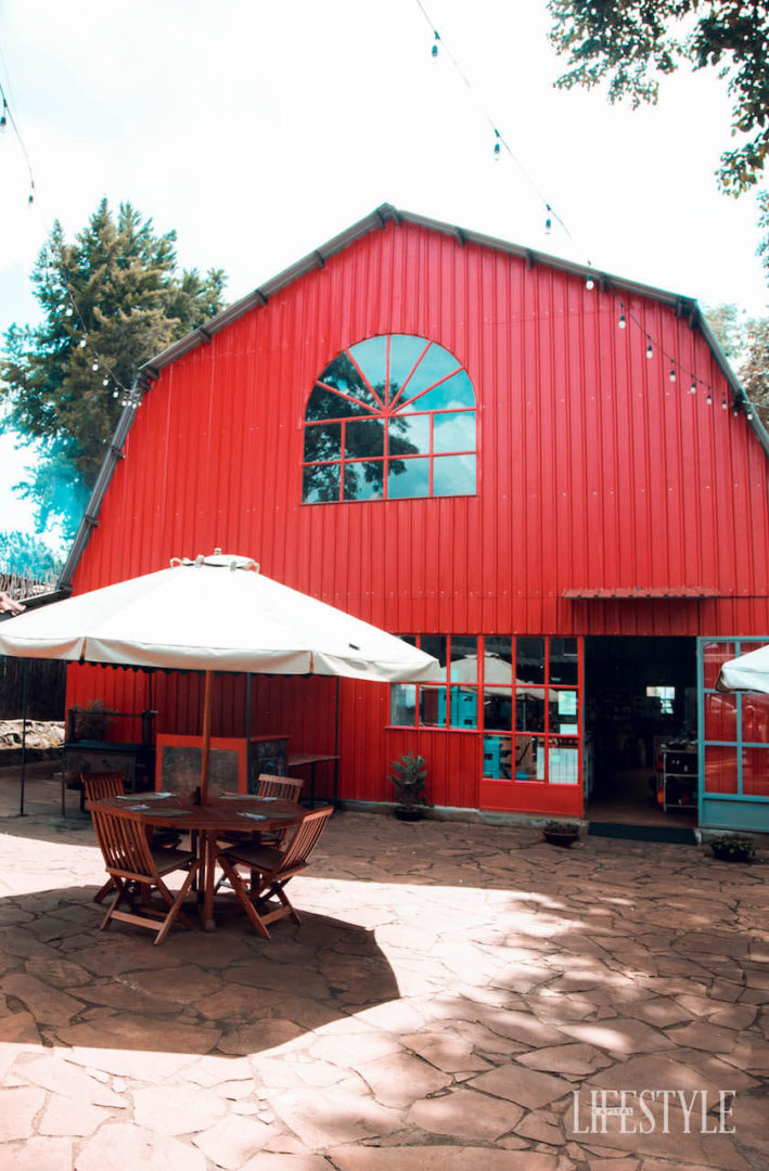 Shamba Cafe: It's Safe to Dine Here with Kids - Capital Lifestyle