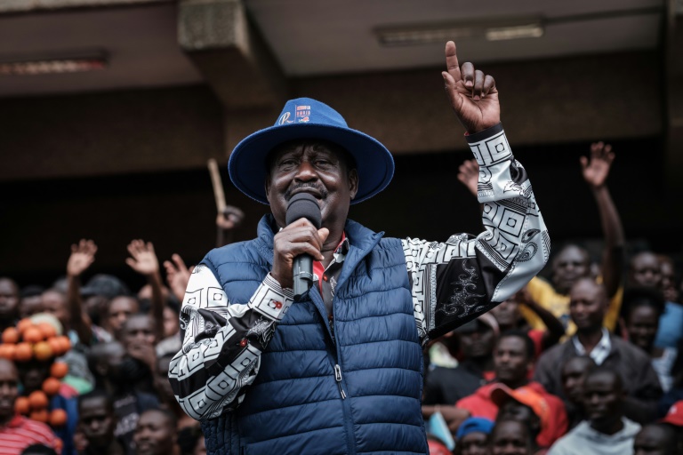Kenya's Odinga mounts court challenge to presidential poll result ...