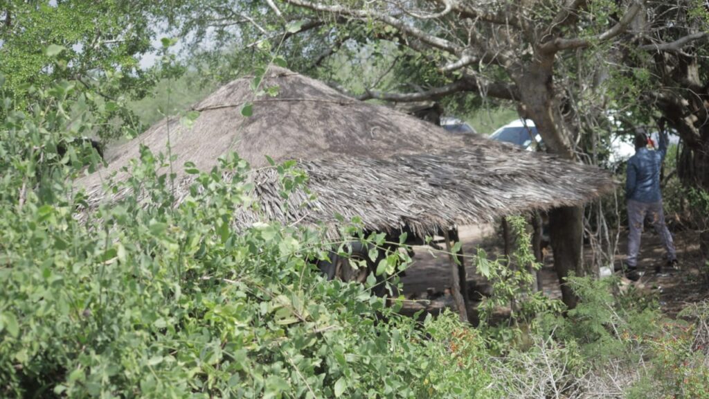 Exhumations in Shakahola forest resume today » Capital News