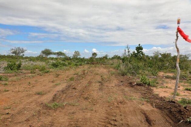 Shakahola Forest » Capital News