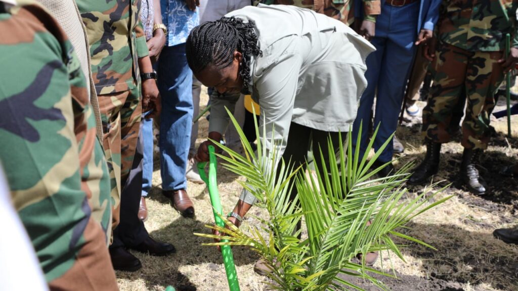 Let's nurture tree seedlings to maturity, CS Tuya urges Kenyans ...