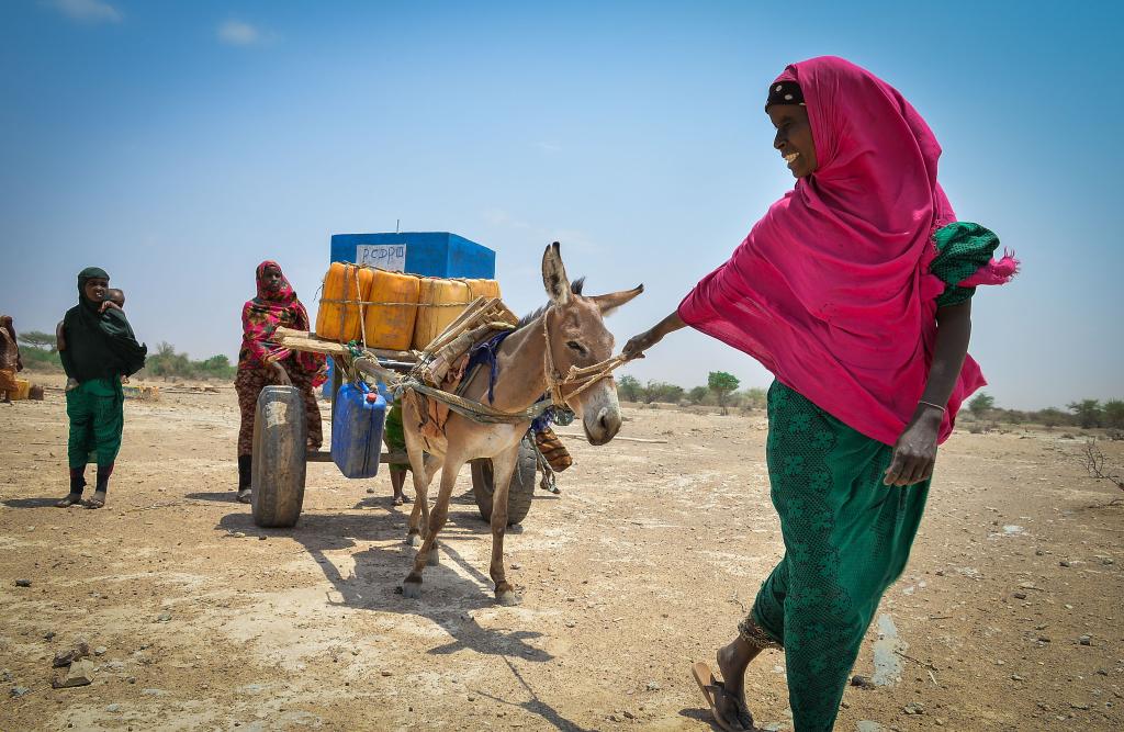 Drought in northern Ethiopia affects 1.8 mln people » Capital News