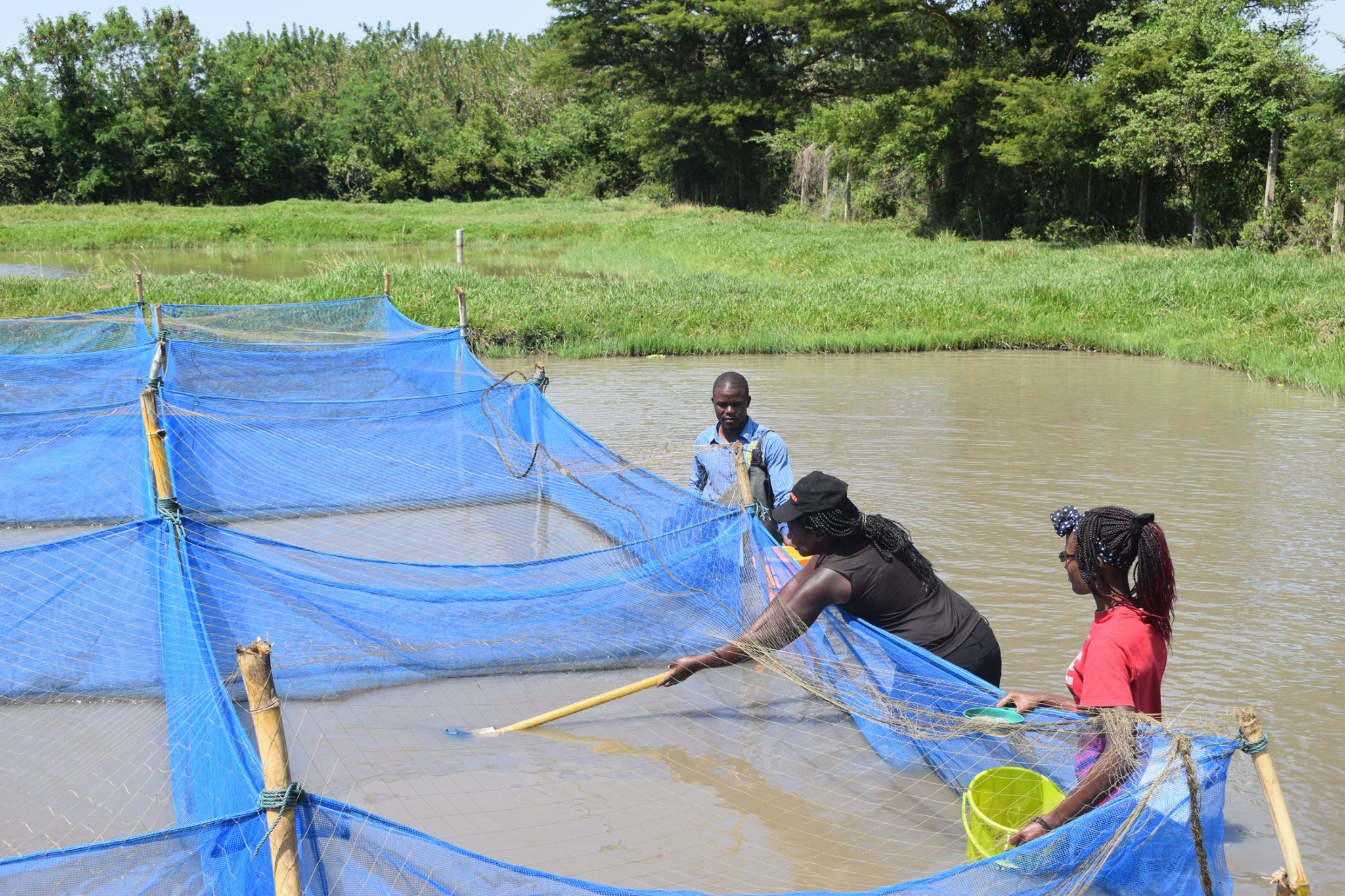 LBDA Introduces Innovative Aquaculture Technology to Enhance Fish ...