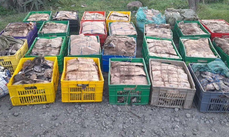 Police, KWS arrest suspect with 850kg of fish from Lake Nakuru ...