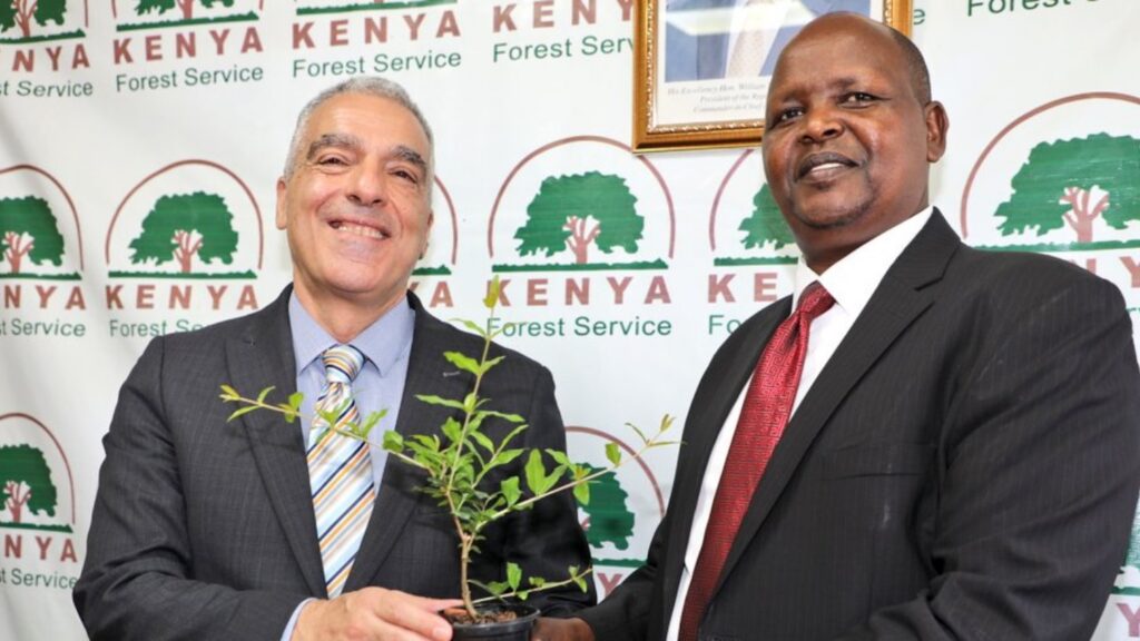 Ruto pledges Nairobi transformation with Sh220bn plan