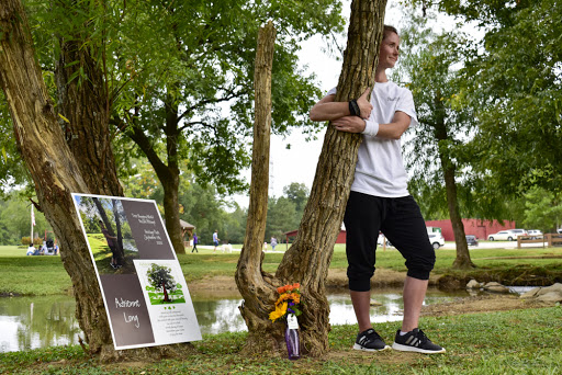 Tree hugging - The Sauce