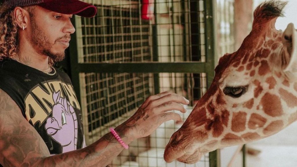 F1 Champ Lewis Hamilton Enjoys Magical Kenya - The Sauce